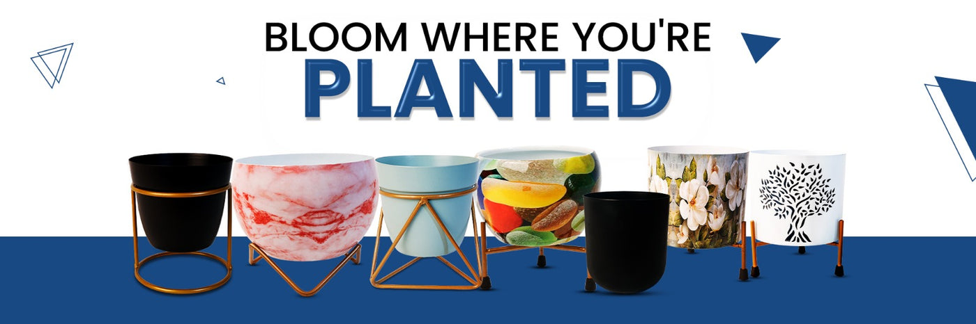 Buy Home Appliances , Kitchen Cookware Online - Peng Essentials